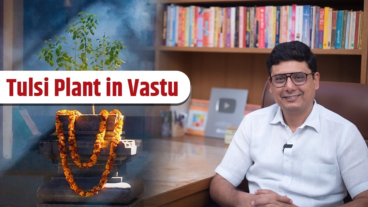 Tulsi Plant in Vastu | Ashish Mehta - YouTube