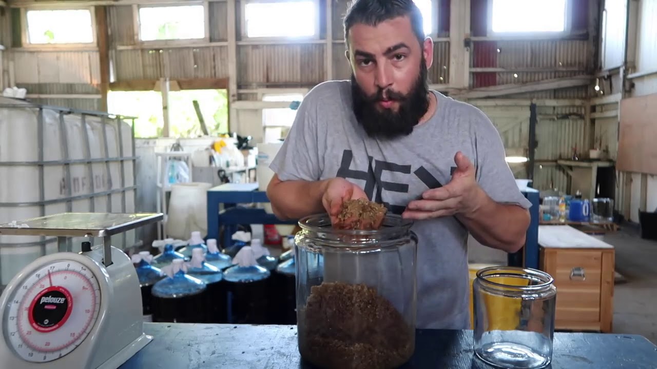 How to IMO 2 KNF - YouTube