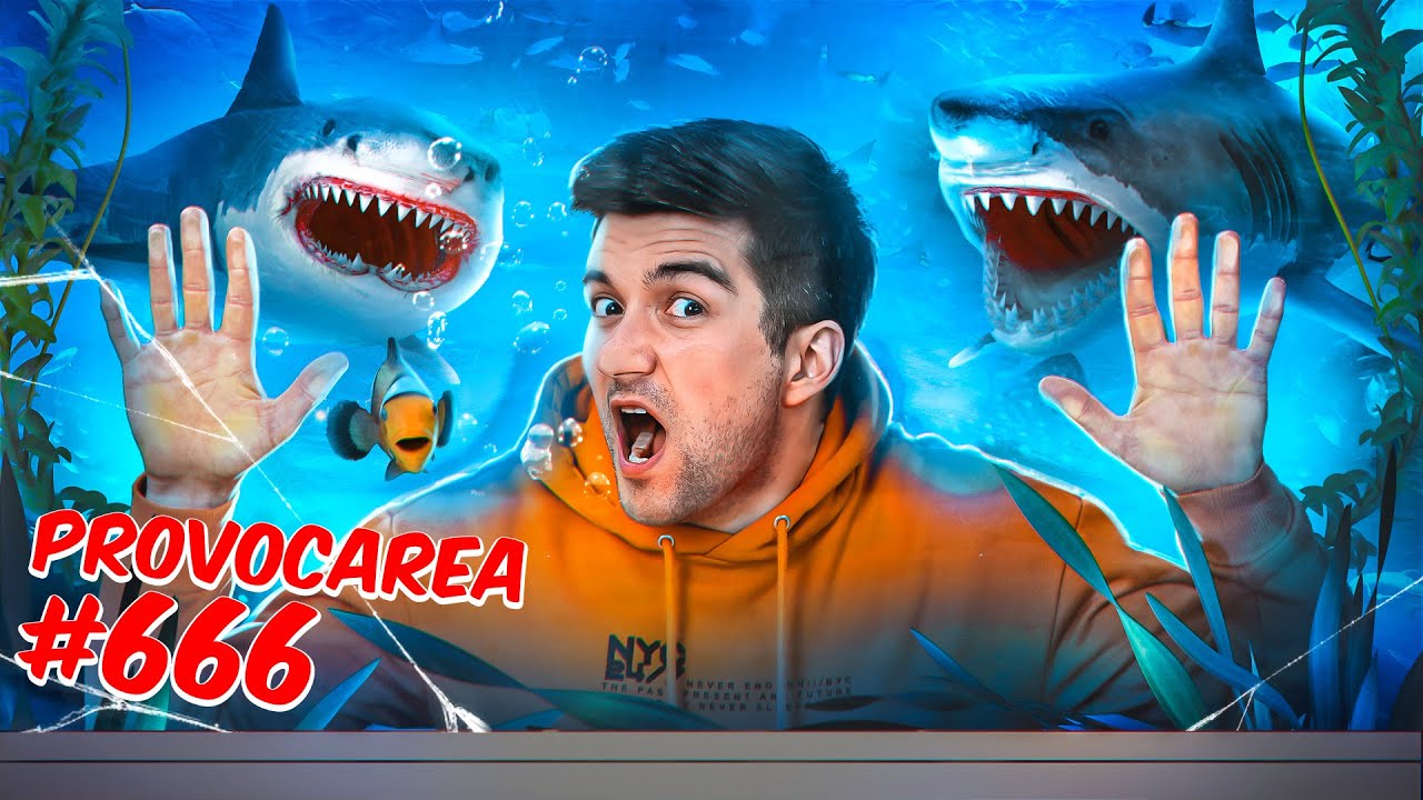 1000 PROVOCARI in 24h CHALLENGE !! *EXTREM* - YouTube