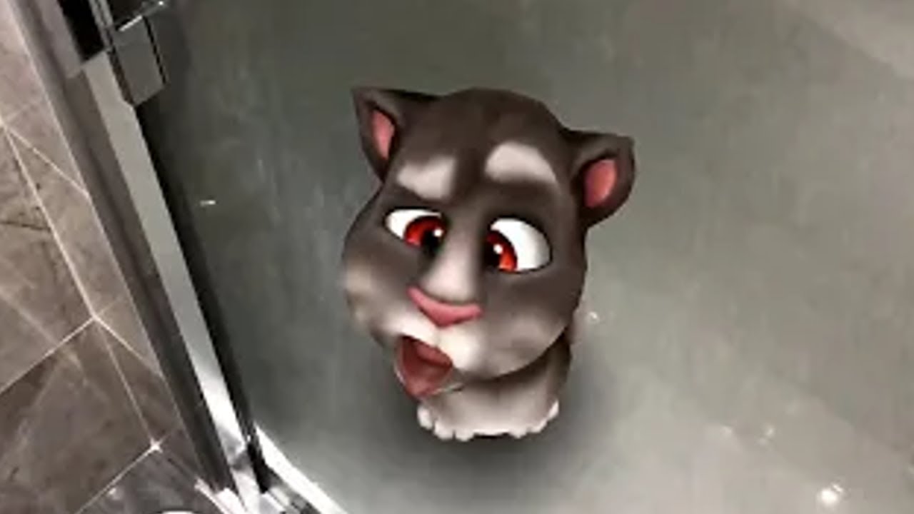 El Gato TOM en LA VIDA REAL, Gato TOM EN 3D 😍 , Talking tom friends ...