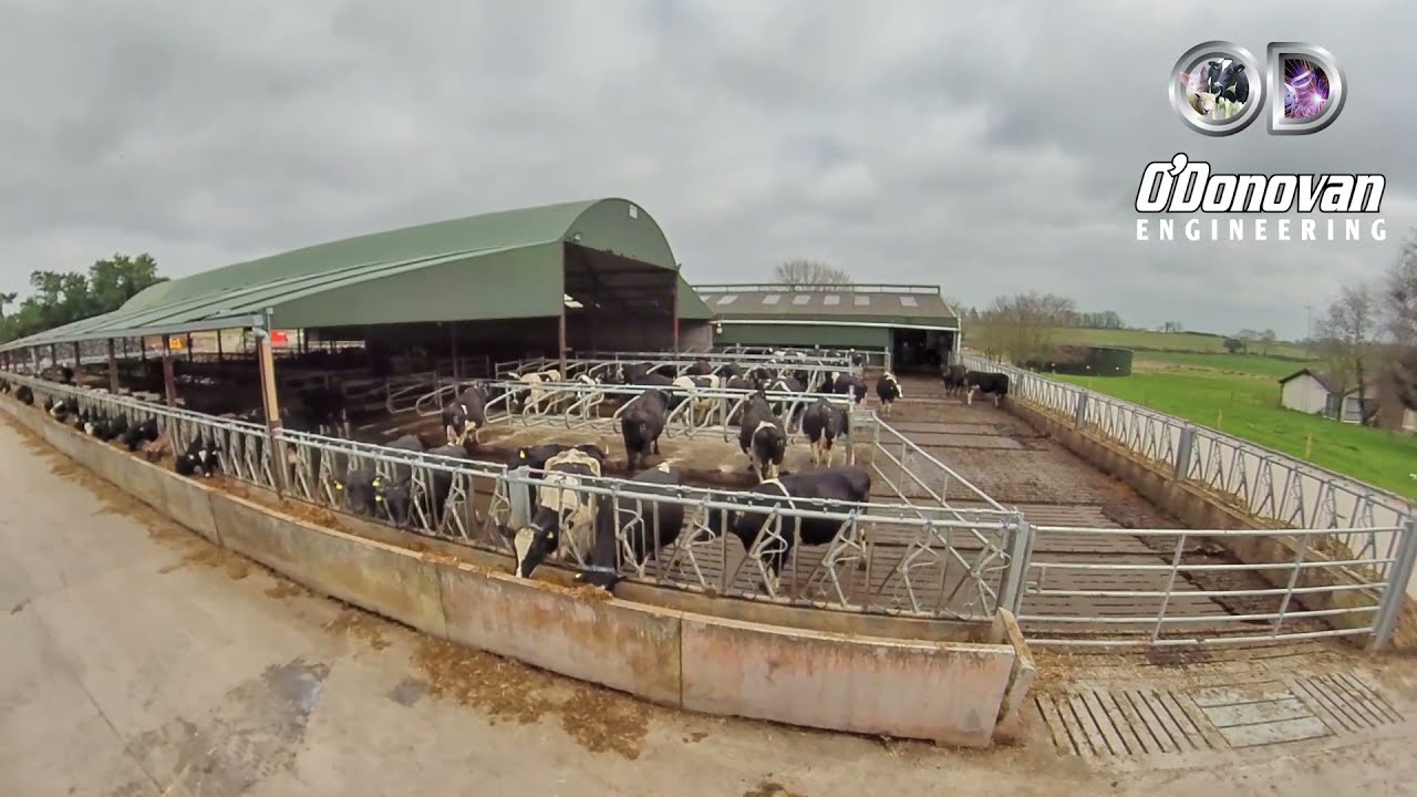Head Locking Feed Barriers - YouTube