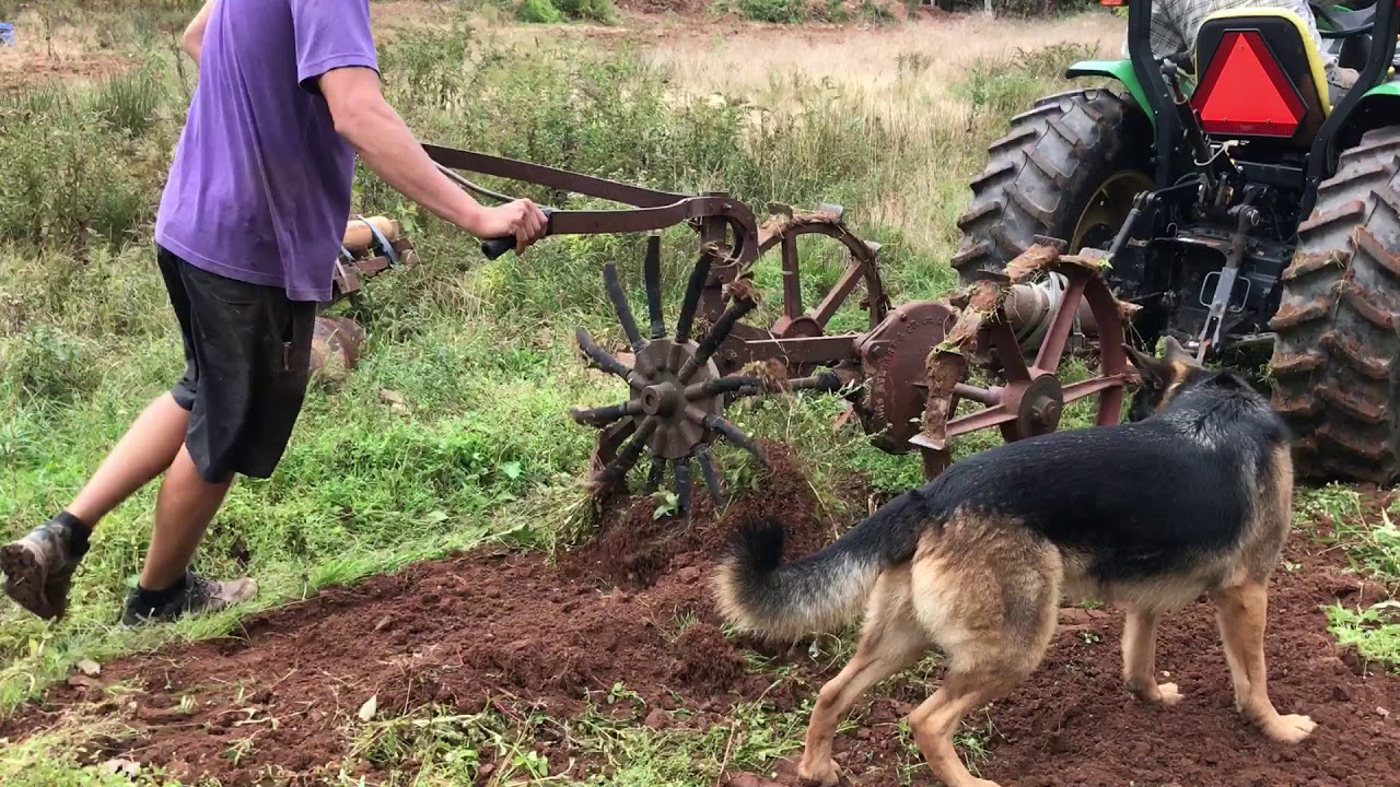 1900s potato digger! Running great! - YouTube