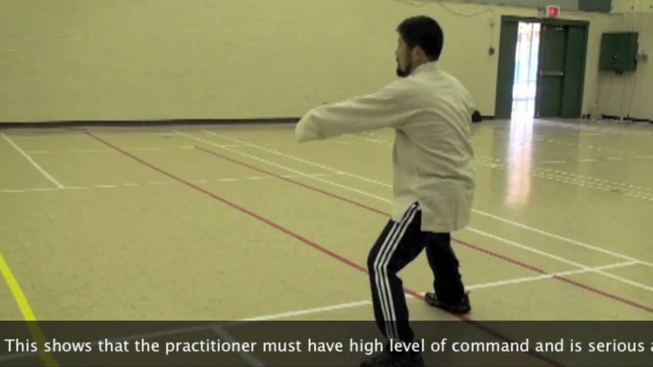 Chen Zhonghua Chen Style Taijiquan Practical Method Yilu October 25 ...