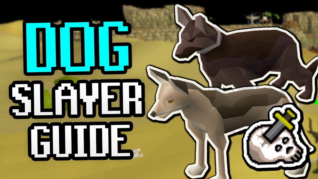 BEST Method Dog Slayer Task Guide - Turael/Aya Task Skip (OSRS 2025 ...