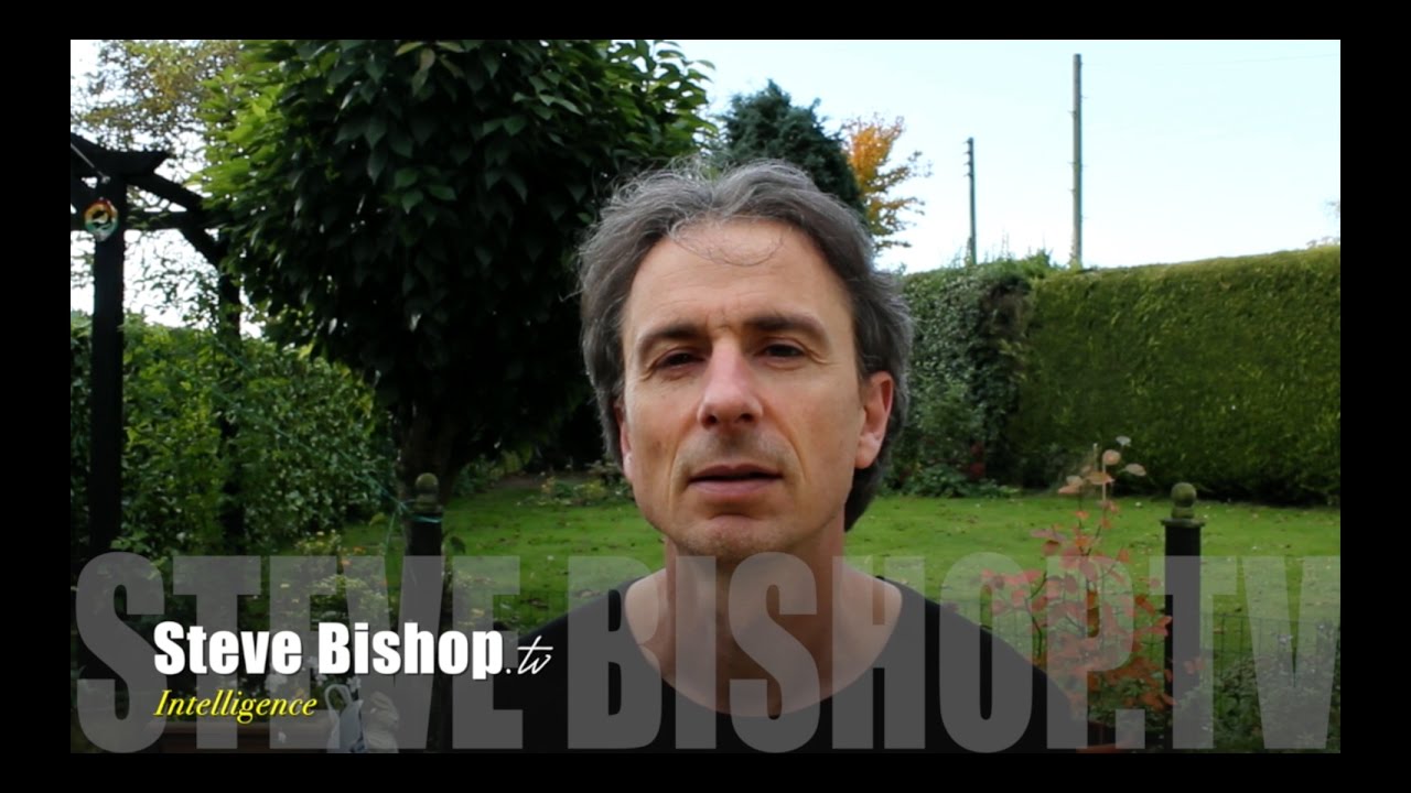 Intelligence by Steve Bishop - YouTube