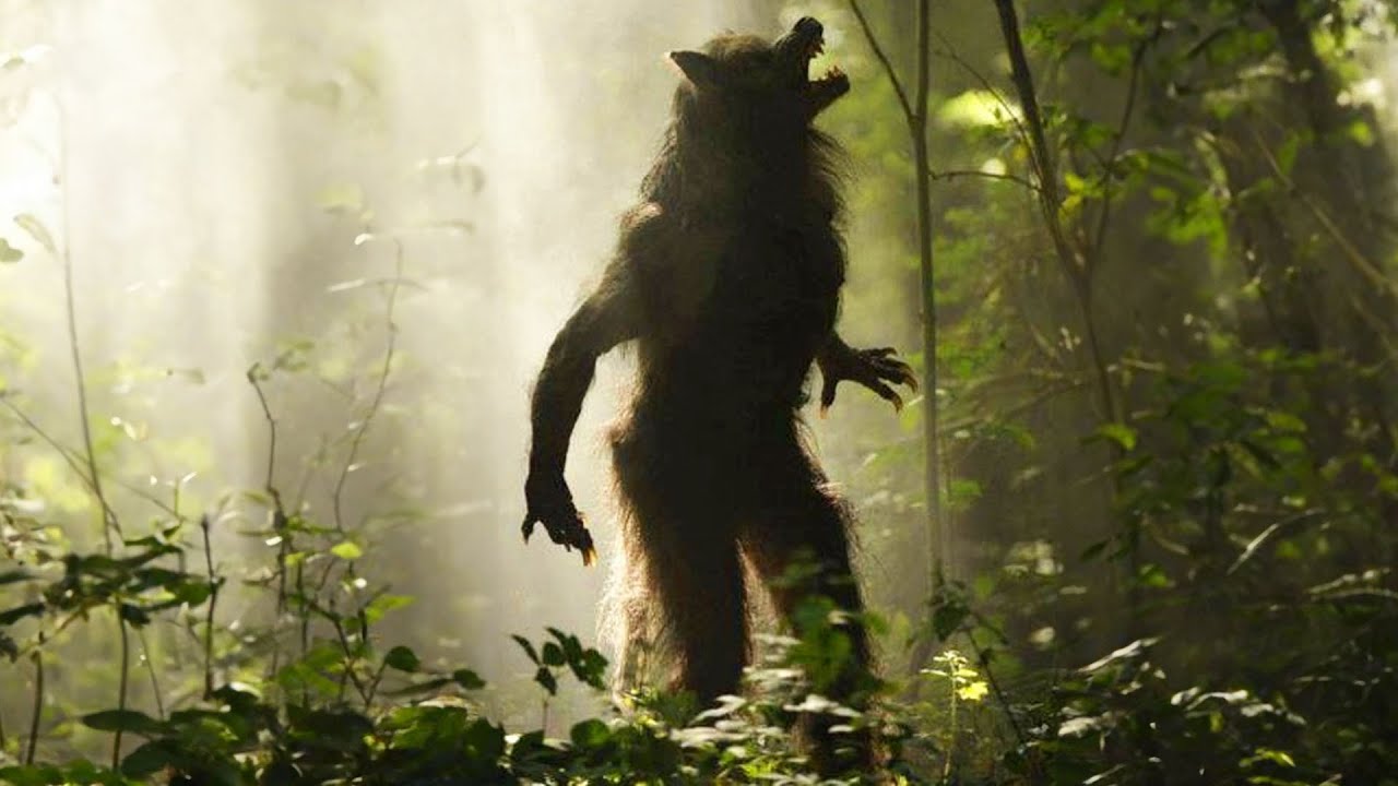 Scary Werewolf Sightings Experts FEAR - YouTube