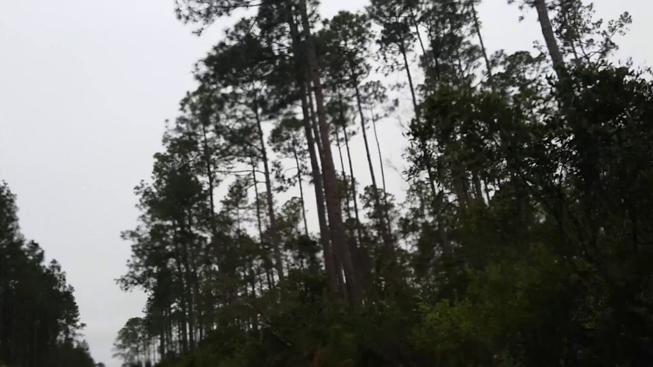 Riding the Fuji Outland at Jennings State Forest Middleburg FLA ...