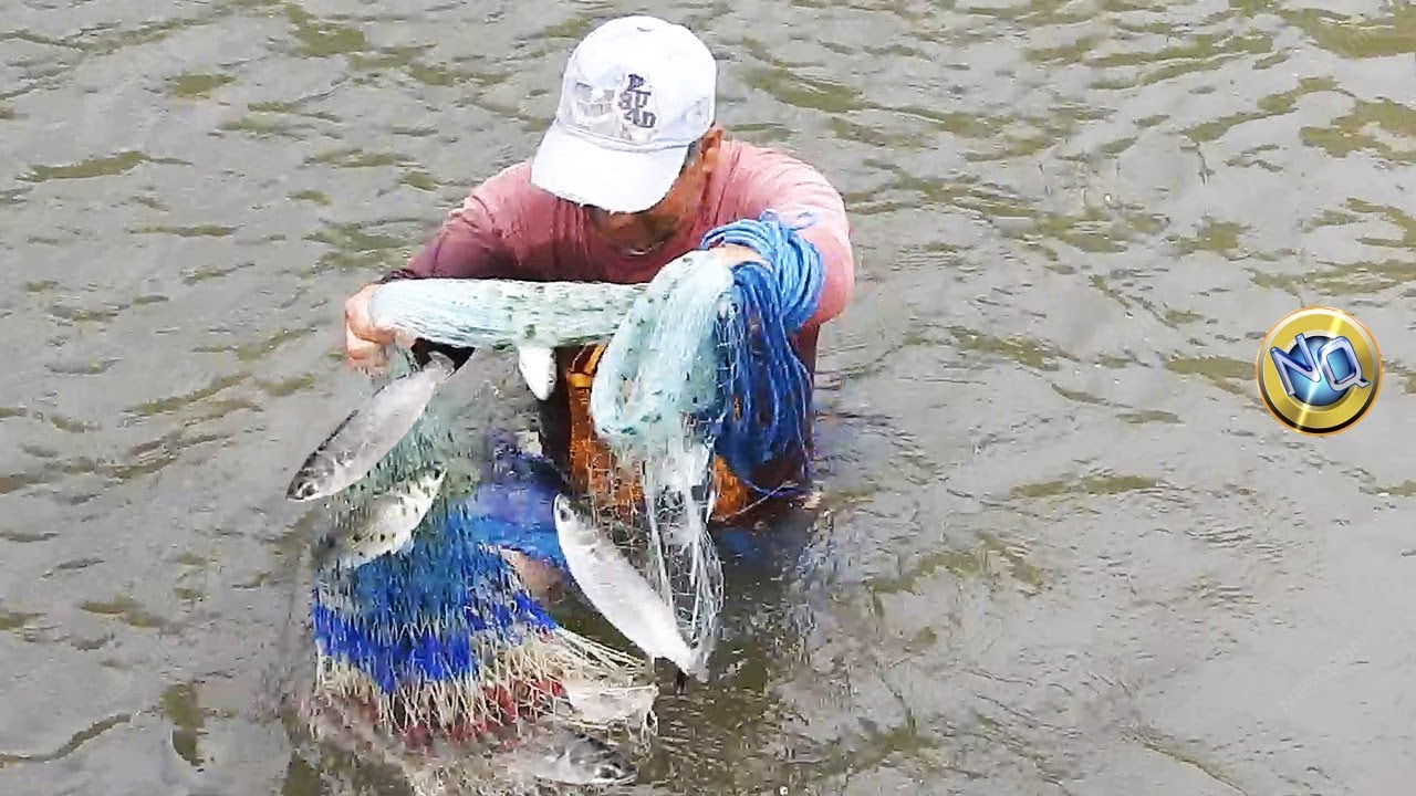 ¡Impresionante pesca! Hábil Pescador usa una Atarraya para atrapar ...