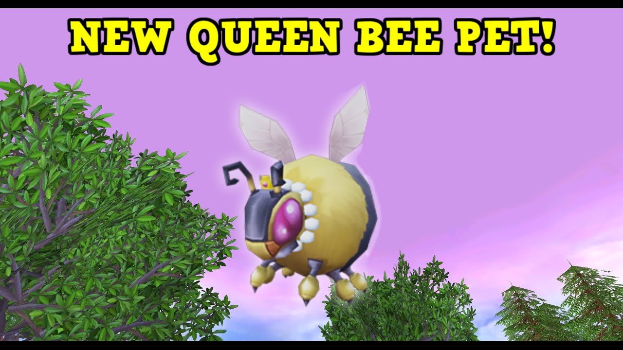 Wizard101 : NEW QUEEN BEE PET! - YouTube