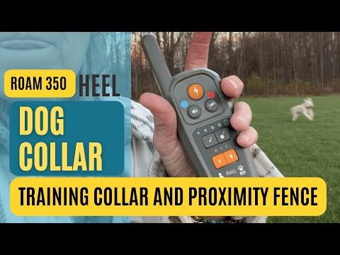 Roam 350 by Heel: Testing the Virtual Leash for Off-Leash Dog Walking