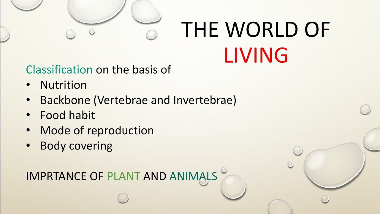 The world of living || ep03 || class 6 science || DAV CBSE NCERT - YouTube