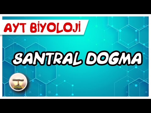AYT Biyoloji | Santral Dogma #sayfa 142