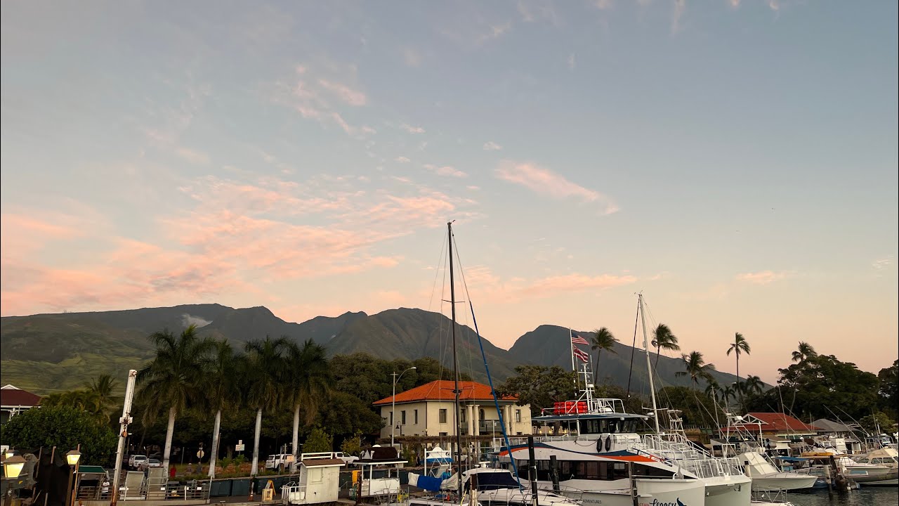 A Day to Remember - Lahaina Fire 2-Year Anniversary - YouTube