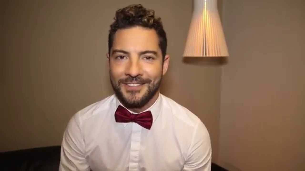 David Bisbal -Toppers in Concert 2015 'CRAZY SUMMER EDITION’ English ...