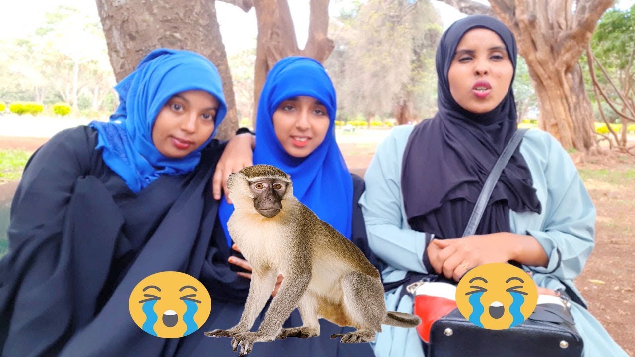 SADIISH IYO DANYEER MAXAA KALA QABSADAY QOSOLKA ADUUNKA VLOG - YouTube