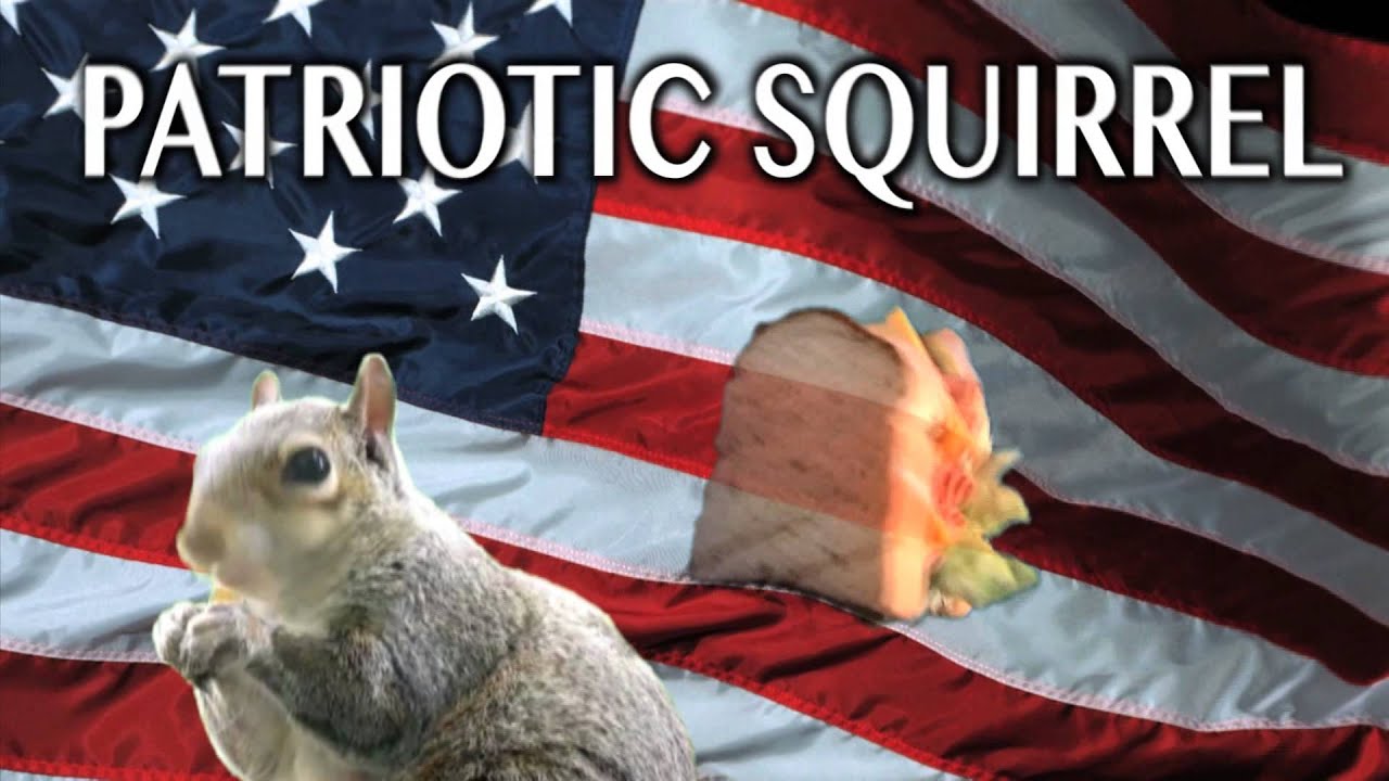 PATRIOTIC SQUIRREL - YouTube