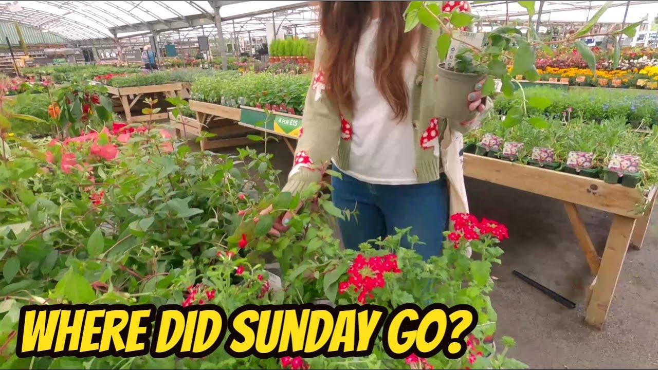 Where Did Sunday Go? - YouTube
