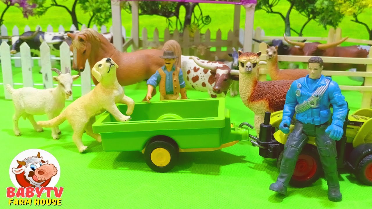 FARM ANIMALS, COW, OX, HORSE, PIG, GOAT, DONKEY | @Babytv.FarmHouse ...
