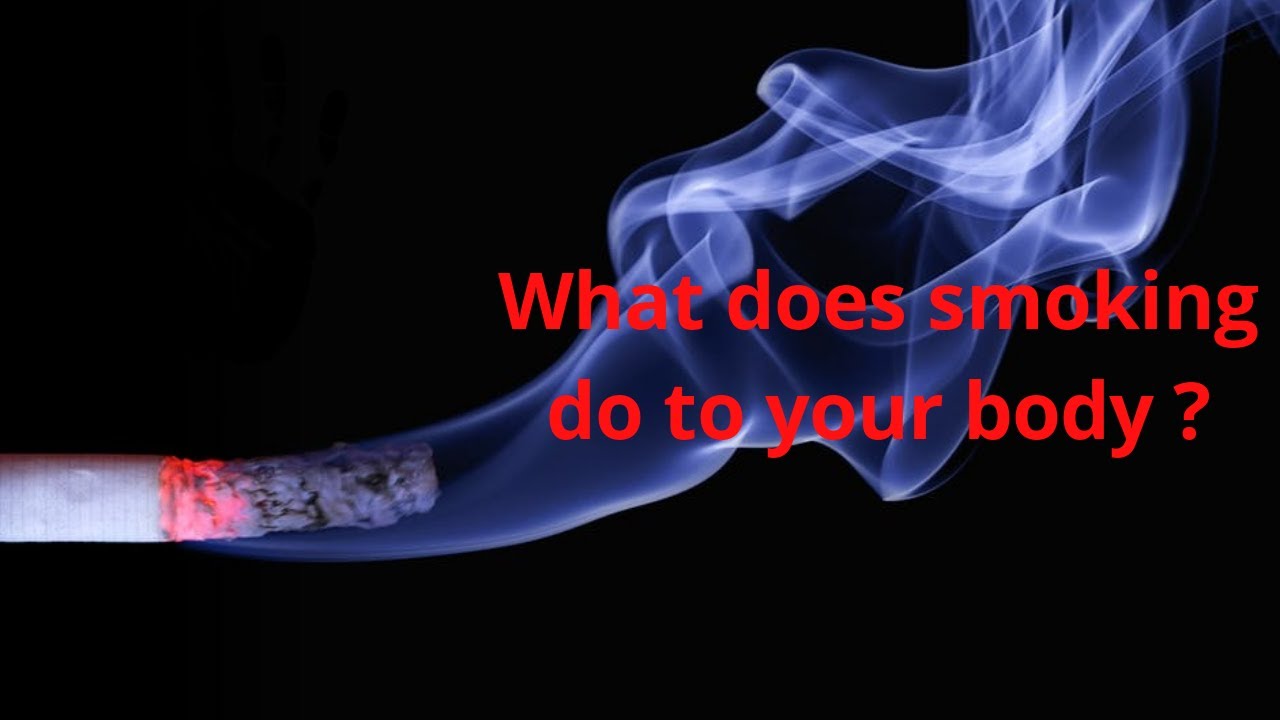 ? What does smoking do to your body - YouTube