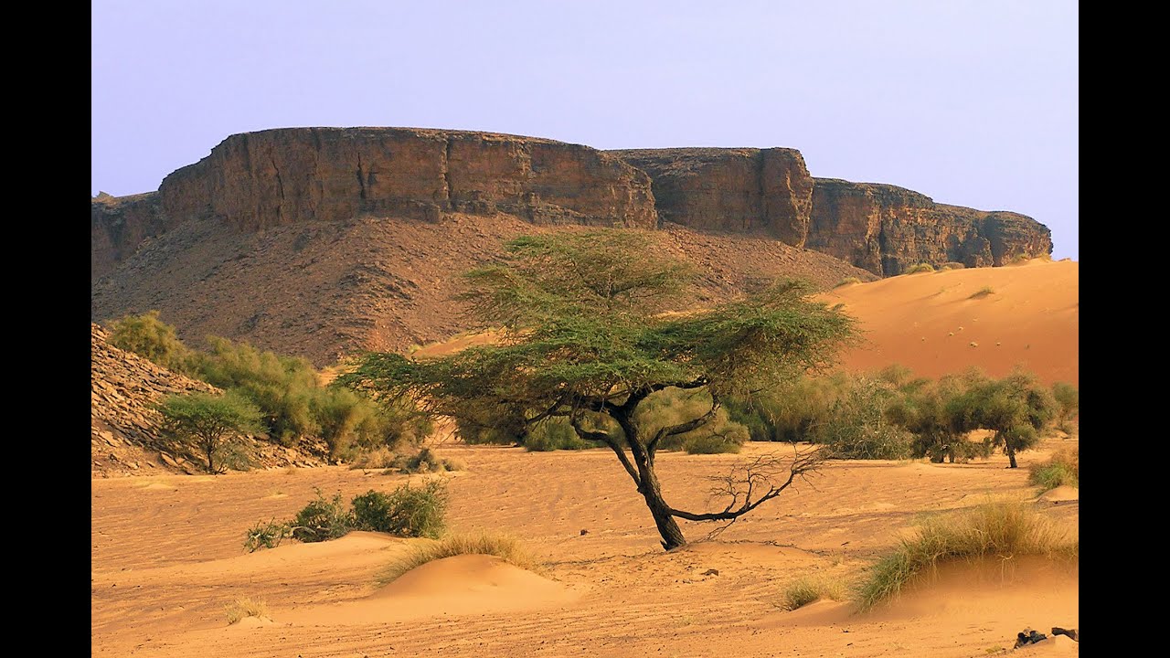 Top 10 facts About The Sahara Desert - YouTube