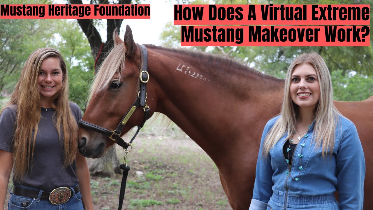 How Does a Virtual Extreme Mustang Makeover Work? - YouTube