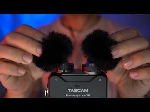 ASMR Ear Massage, Bug Searching & Plucking, Head Tingles, Mic Scratching, Scalp Massage  😴💤