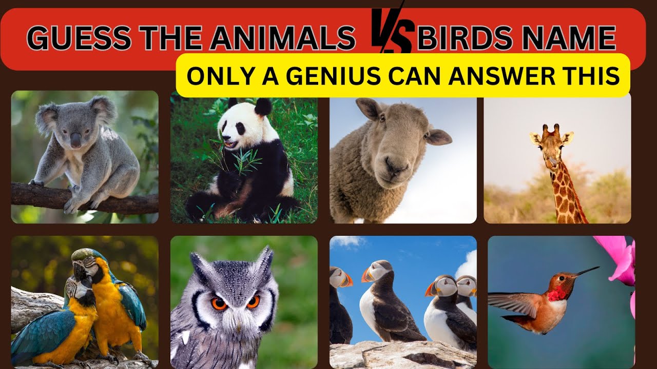 Guess 50 Animals and Birds name in 3 seconds | 50 Different Types of ...