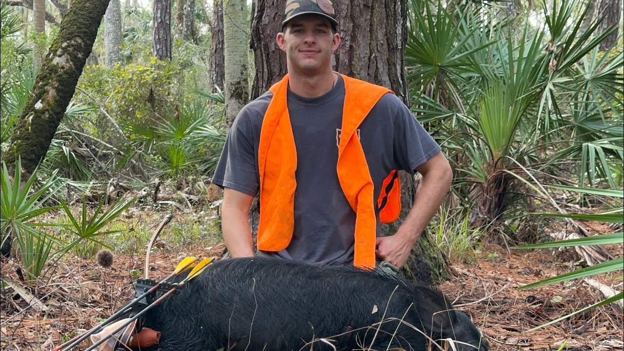 Florida hog hunt. With a longbow. - YouTube