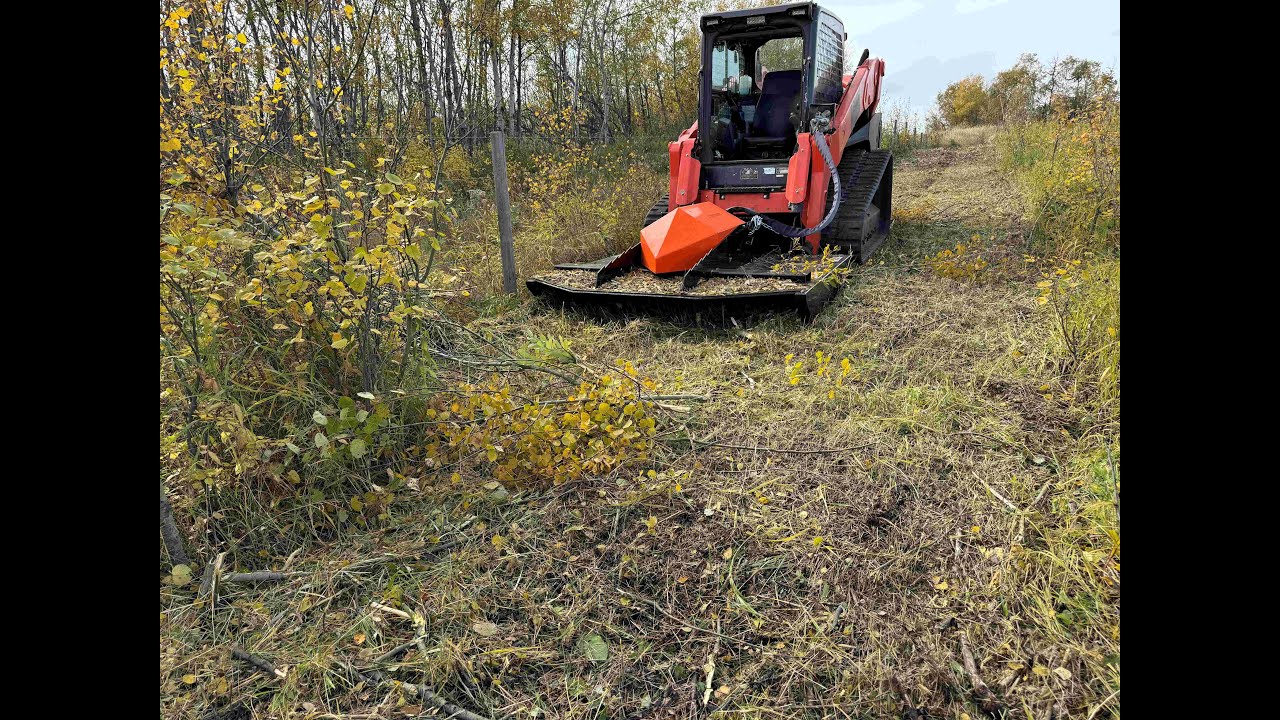 Clearing Fence Line Brush with the Skid Pro GB2 Brush Cutter - YouTube