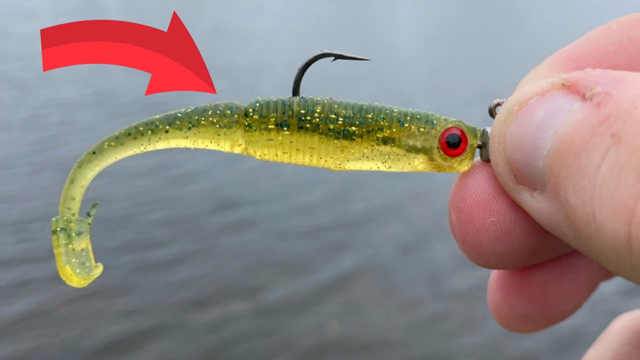 Using The NEW Bait Junkie Flick IT CATCHES Fishing the Gold Coast with ...