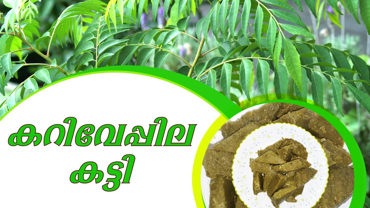 Curry Veppila Katti || കറി വേപ്പില കട്ടി - YouTube