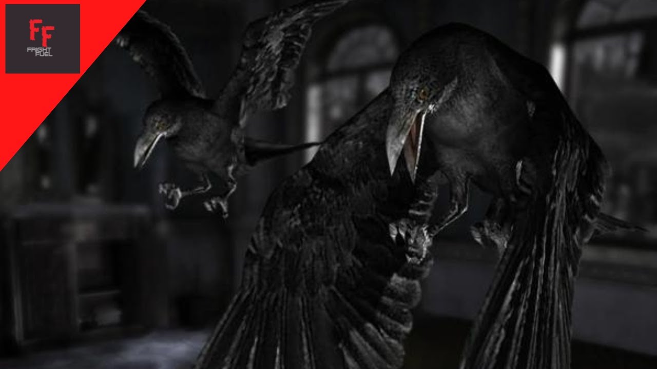 ZOMBIE CROWS ARE AFTER ME! (Resident Evil 1 Remake part 2) - YouTube