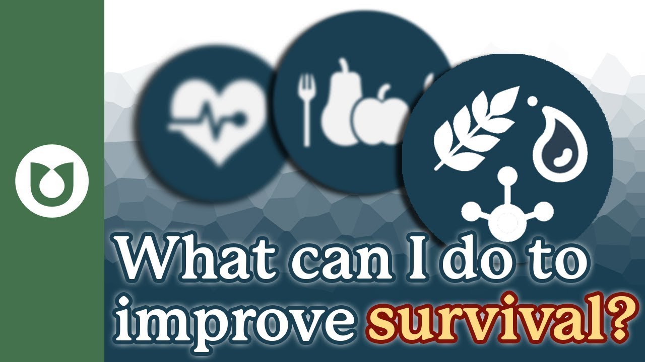 Increase Survivability with these Lifestyle Changes after CLL Diagnosis ...