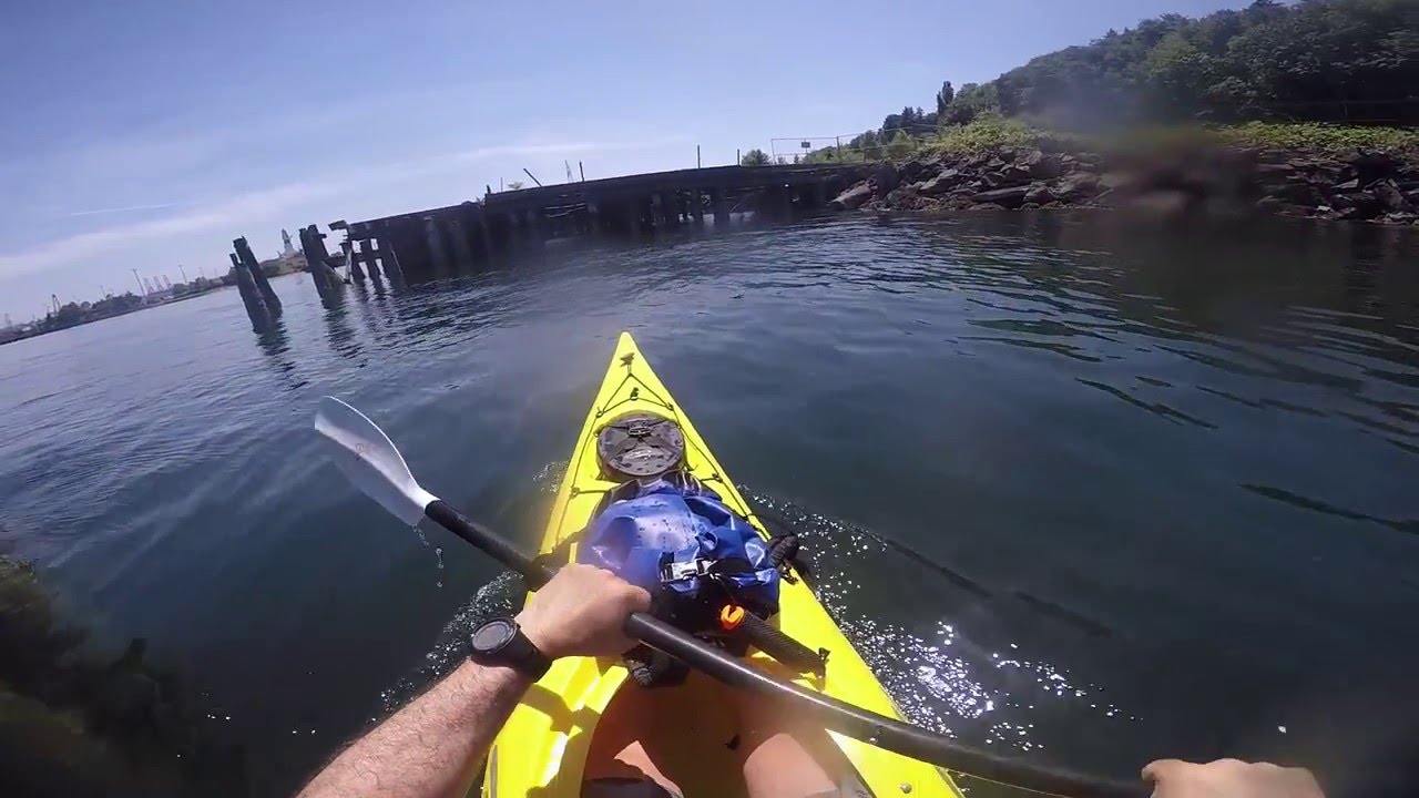 Kayaking in West Seattle, USA - YouTube