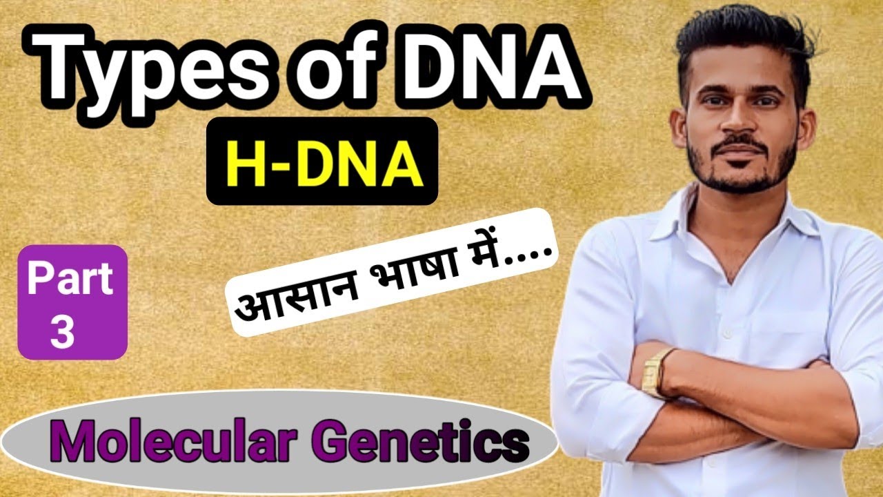 H-DNA | Types of DNA | Part 3 | हिंदी में | MSc | CSIR NET | GATE - YouTube
