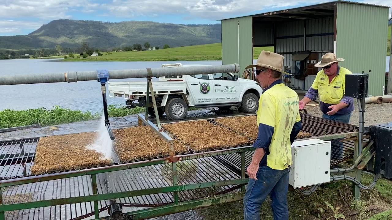 Turf Washing Australian Lawn Concepts Turf Farm Going to Metricon ...