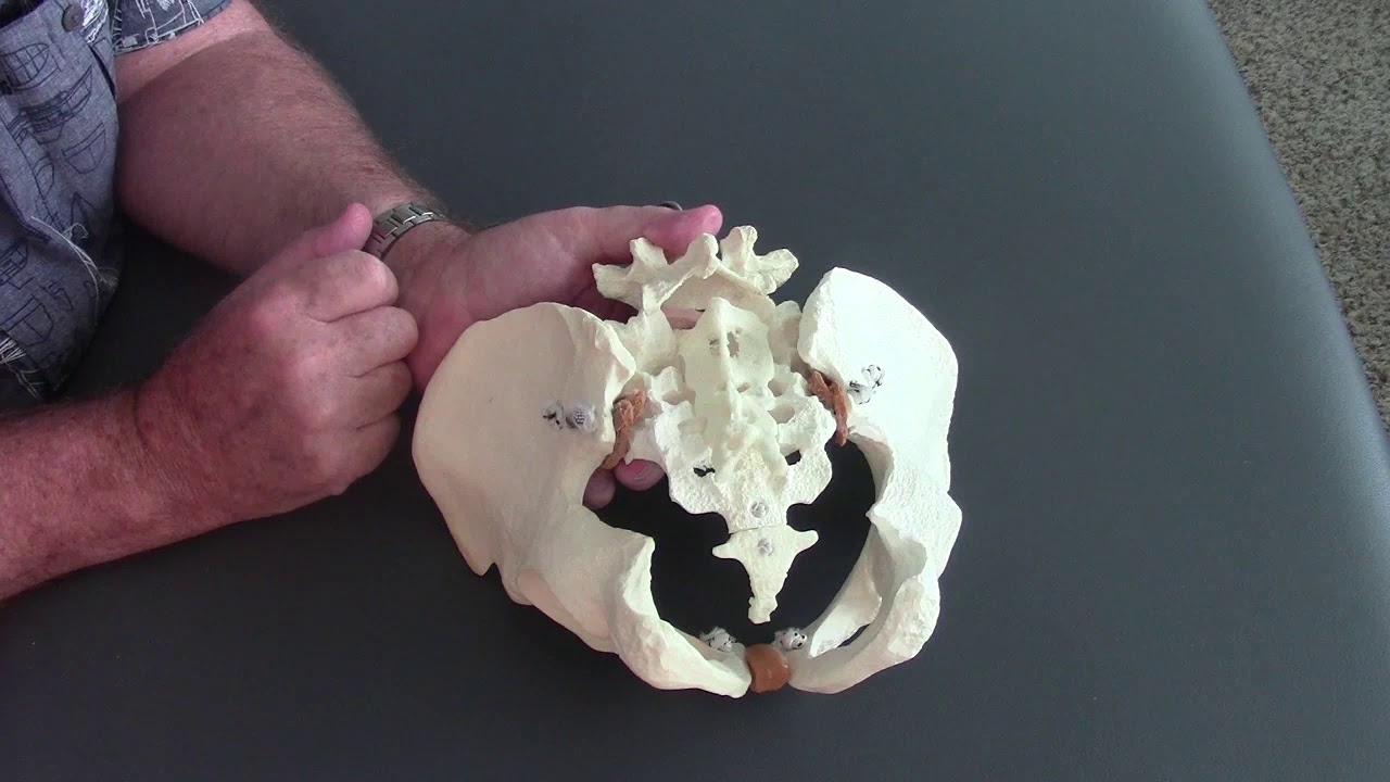 Sacral AKA Sacrum Motion Testing for SIJD Sacroiliac Joint Movement ...