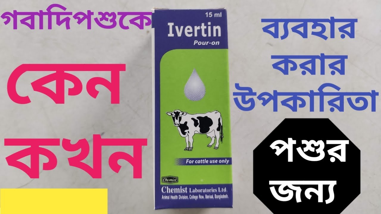 Ivertin pour on for cattle আইভারটিন পোর অন গরু মহিষ ছাগল ভেড়াকে ব ...