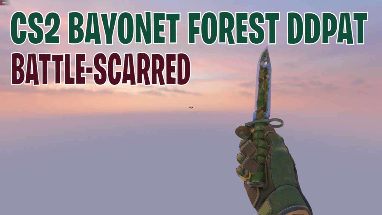 Bayonet Forest DDPAT (Battle-Scarred) | CS2 Skin Showcase #336 - YouTube