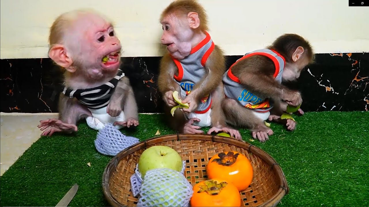 Wow One Million Happy So Much Jooy Confirm Ploy Make Conversation About ...