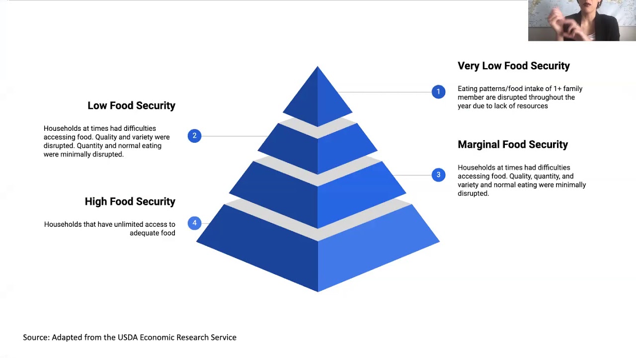 Obesogenic Environments - YouTube