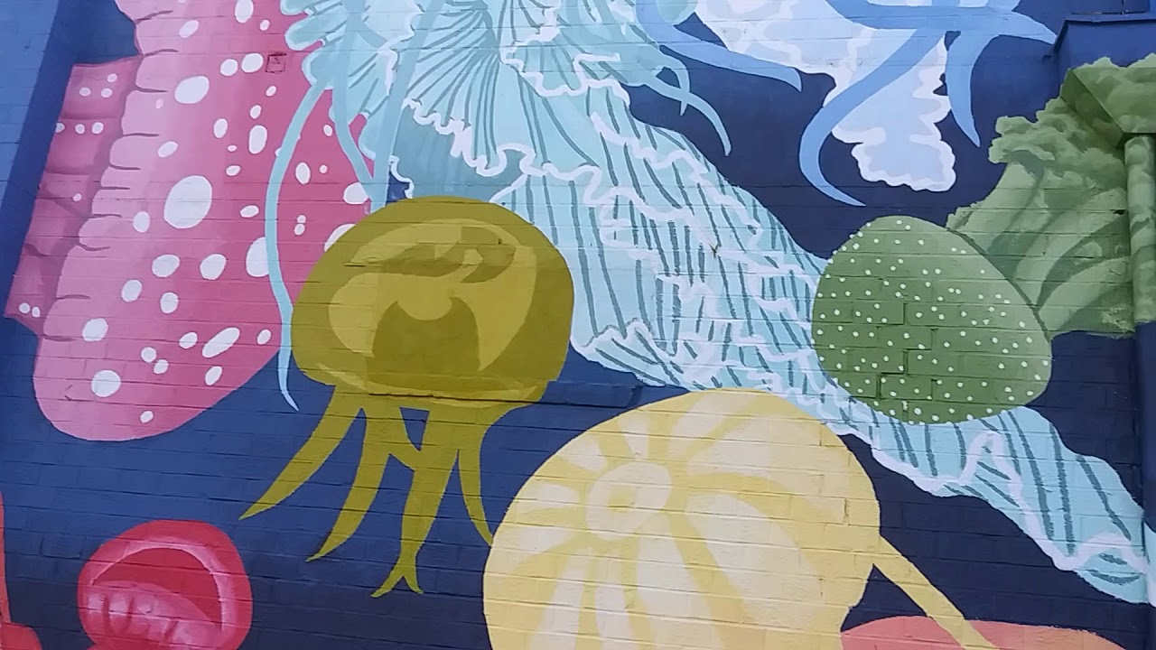 Jacksonville FL graffiti and beautiful art - YouTube