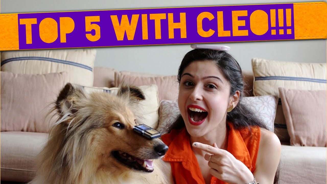 My Top 5 Makeup Products + Cleo's Balancing Act!!! - YouTube