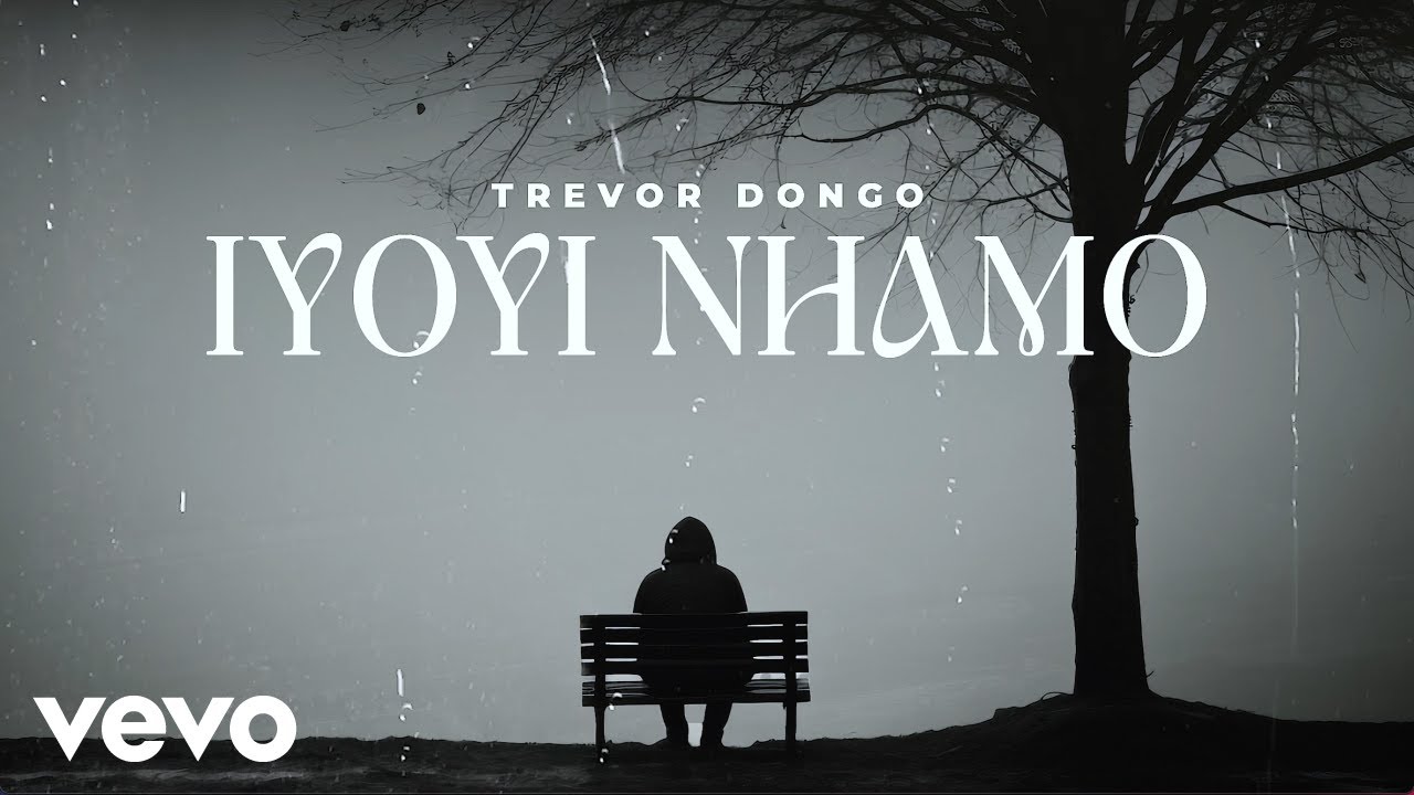 Trevor Dongo - Iyoyi Nhamo (Official Audio) - YouTube
