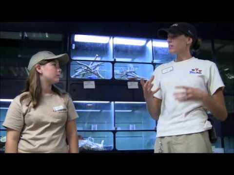 Got Animals? - YouTube