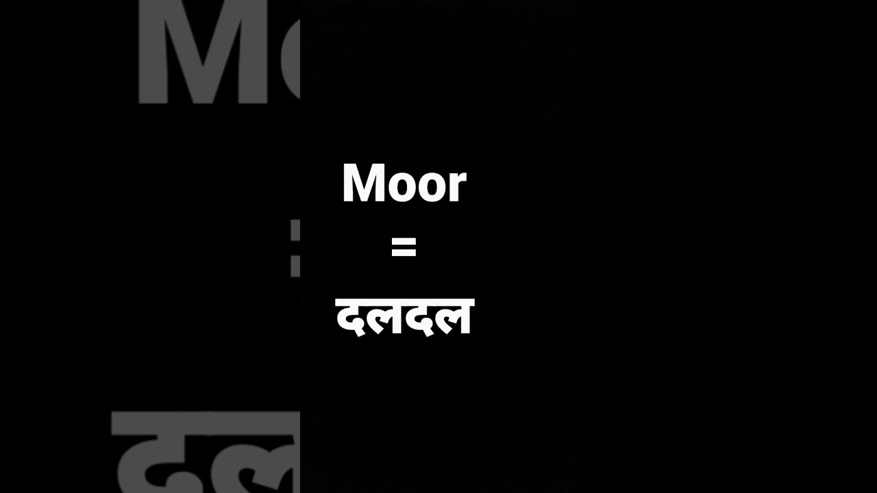 moor meaning in hindi and its parts of speech and its pronunciation ...