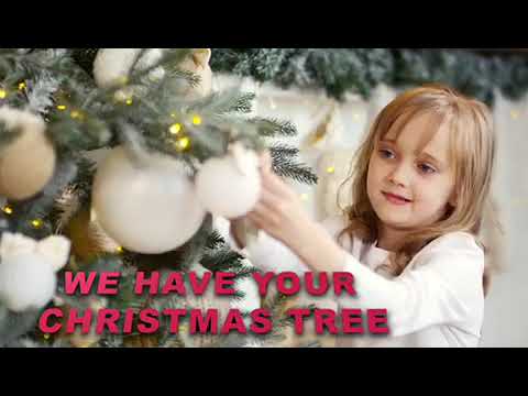 Josarios Christmas Tress 2020