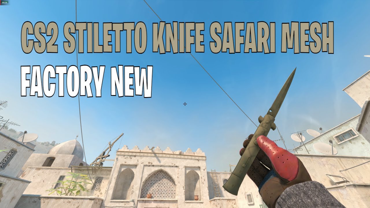 Stiletto Knife Safari Mesh | CS2 Skin Showcase #199 - YouTube