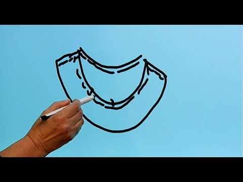Boyun dairəsinin köbə ilə hazırlanması- Dərzi ixtisası