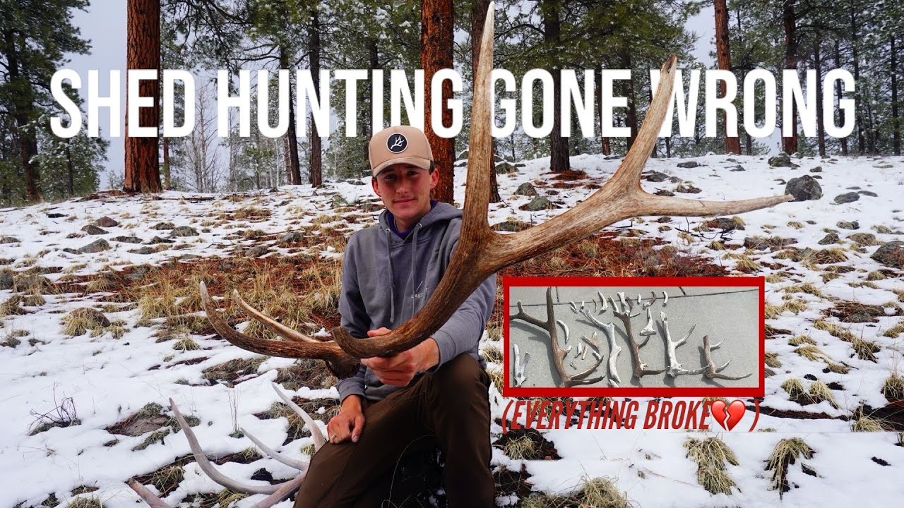 SHED HUNTING GONE WRONG! - YouTube